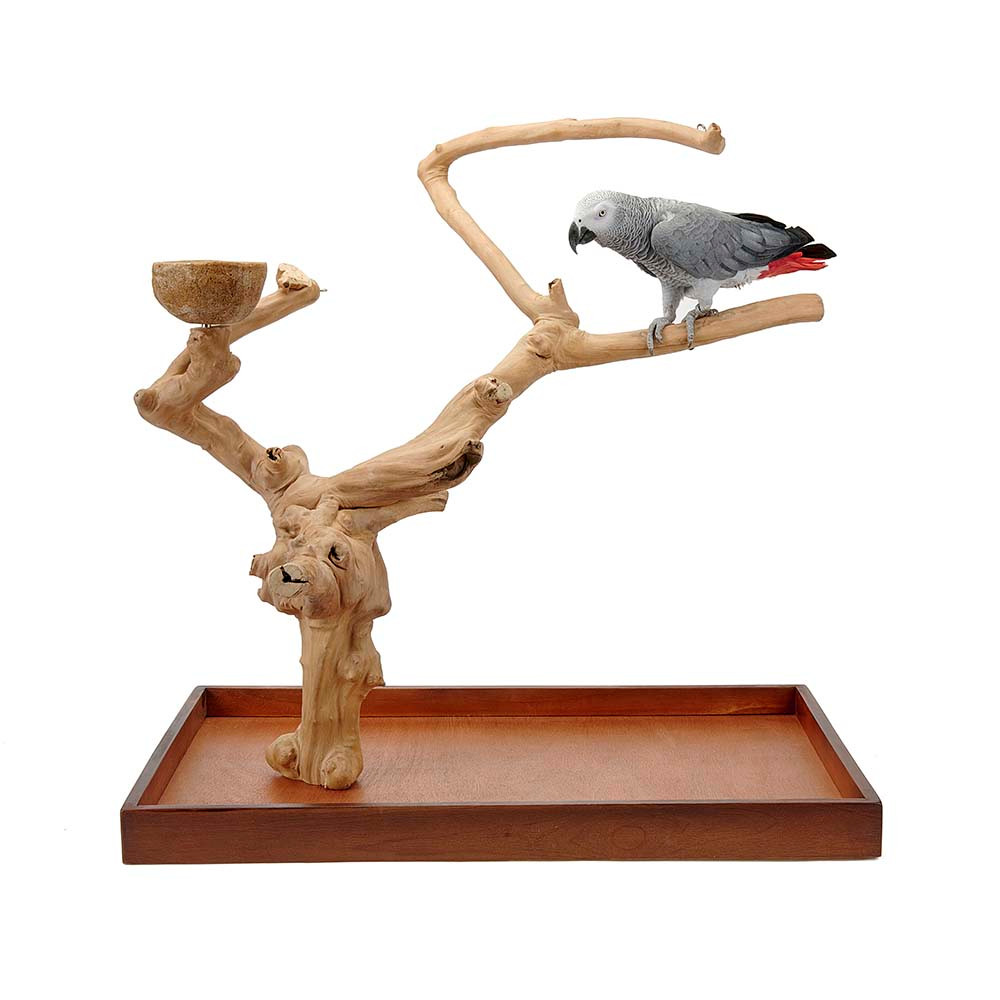 Large Java Tabletop Tree | Natural Hardwood Bird Stand