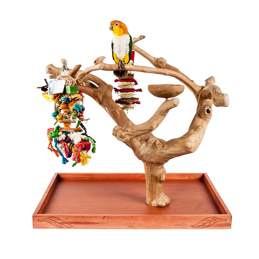 Java Tabletop Tree Medium | Natural Hardwood Parrot Stand