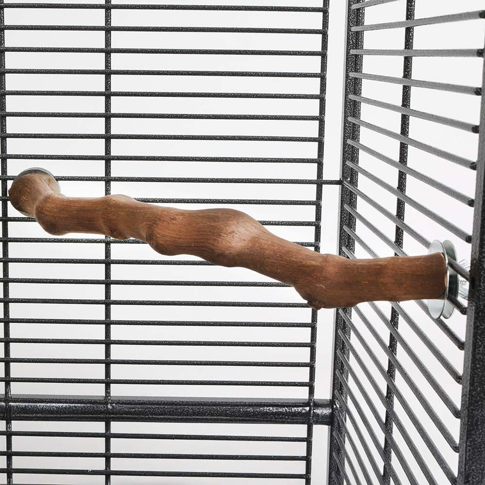 Natural Corner Parrot Perch - Large - Northern Parrots