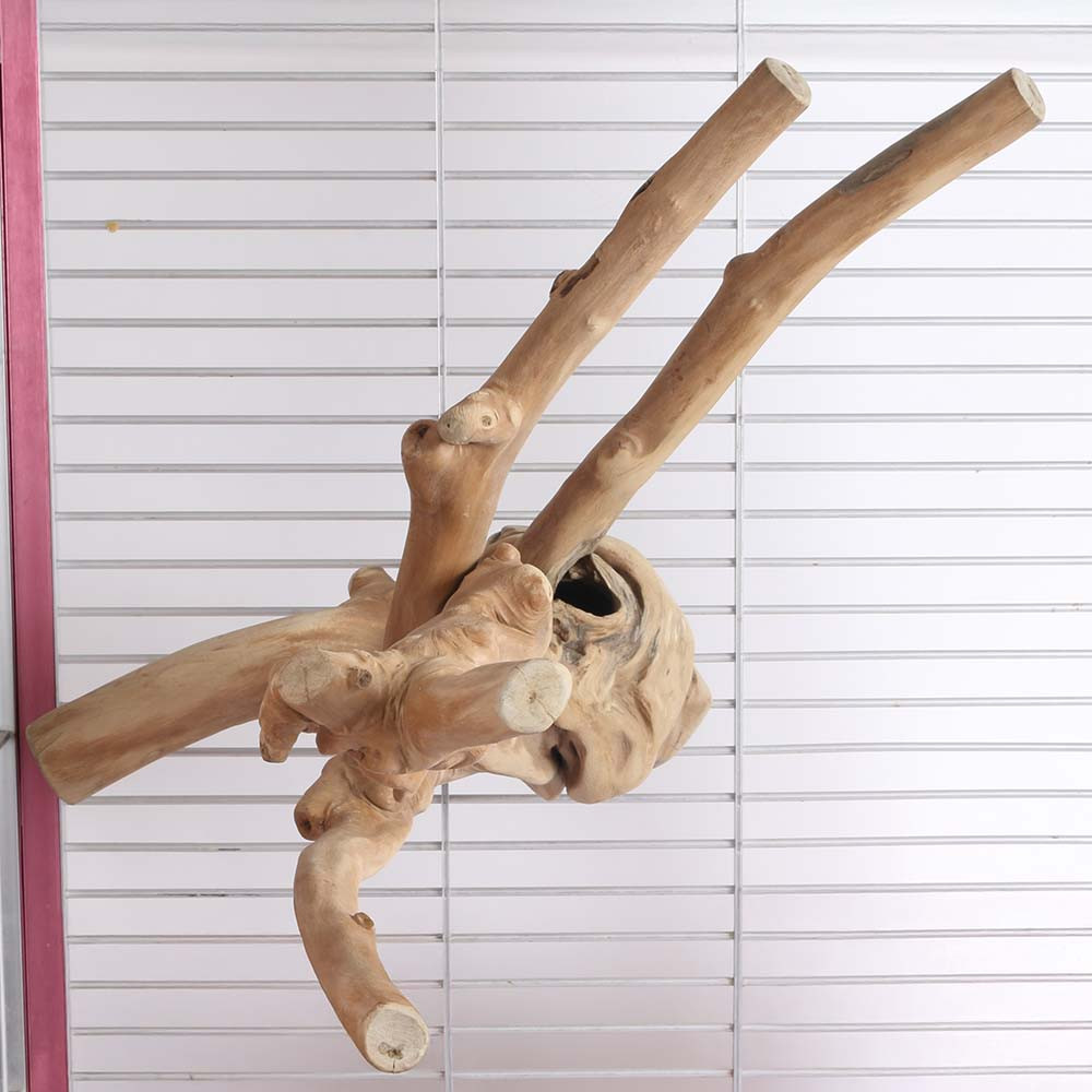 Large Java Multibranch Natural Parrot Perch - Northern Parrots