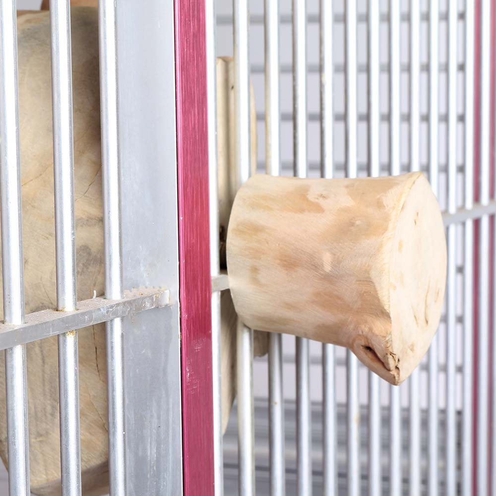 Large Java Multibranch Natural Parrot Perch - Northern Parrots