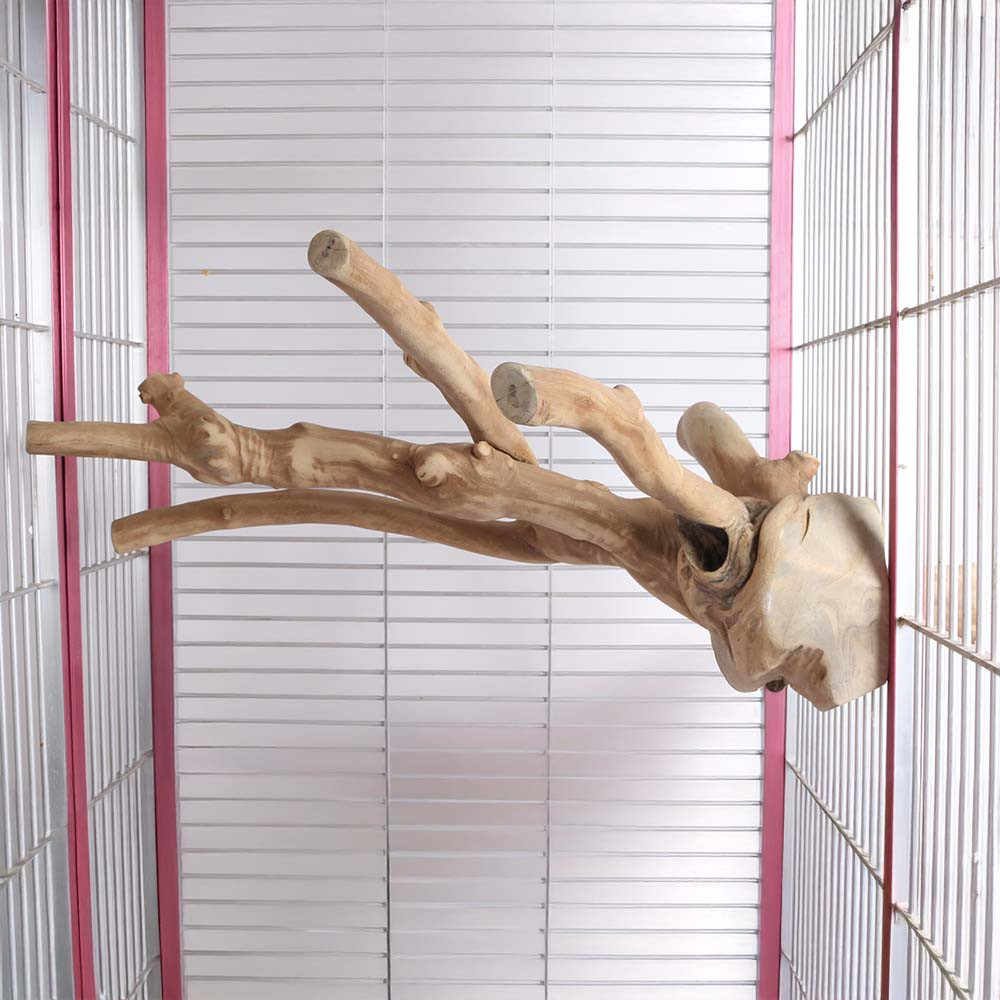 Large Java Multibranch Natural Parrot Perch - Northern Parrots