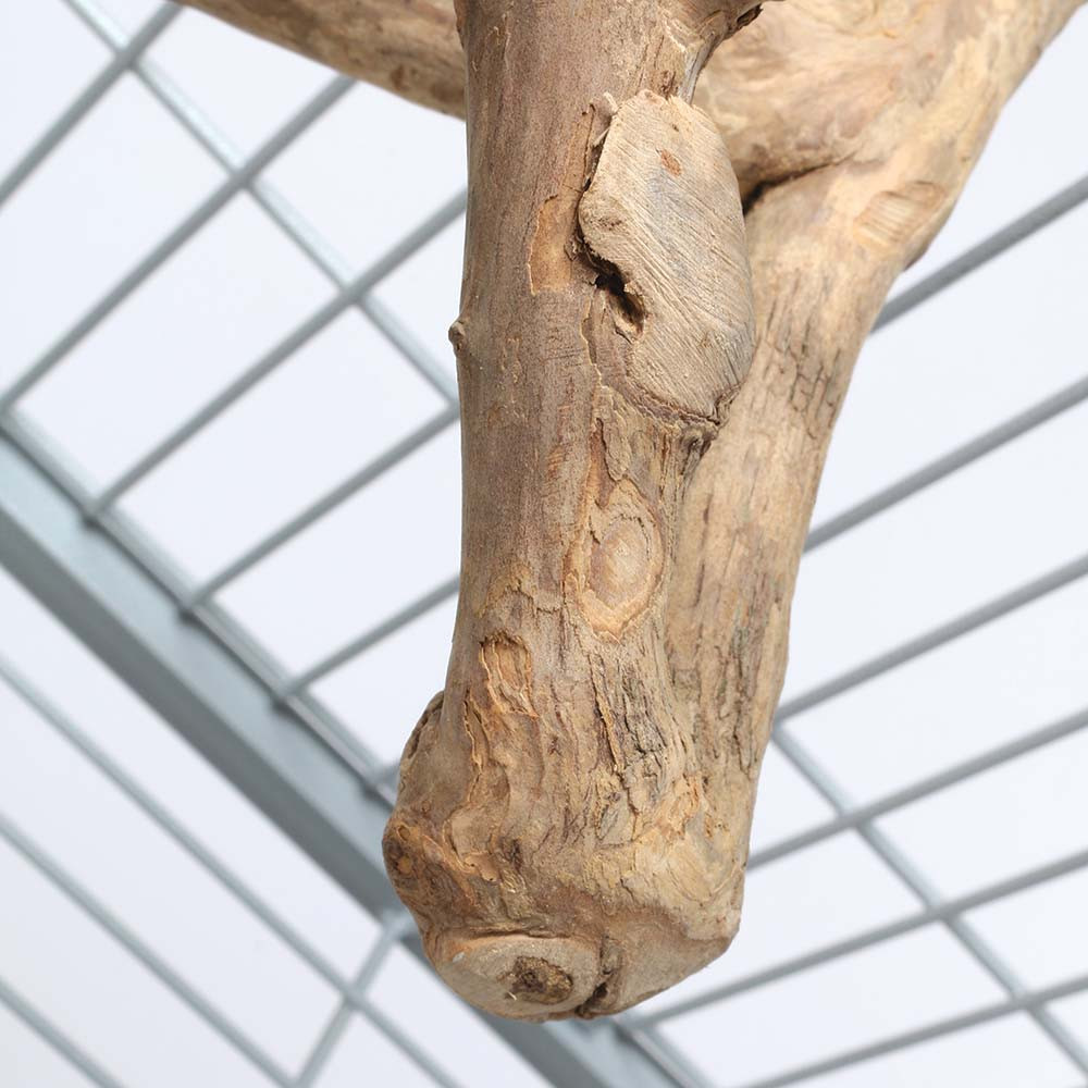 Extra Small Java Multibranch Natural Parrot Perch - Northern Parrots