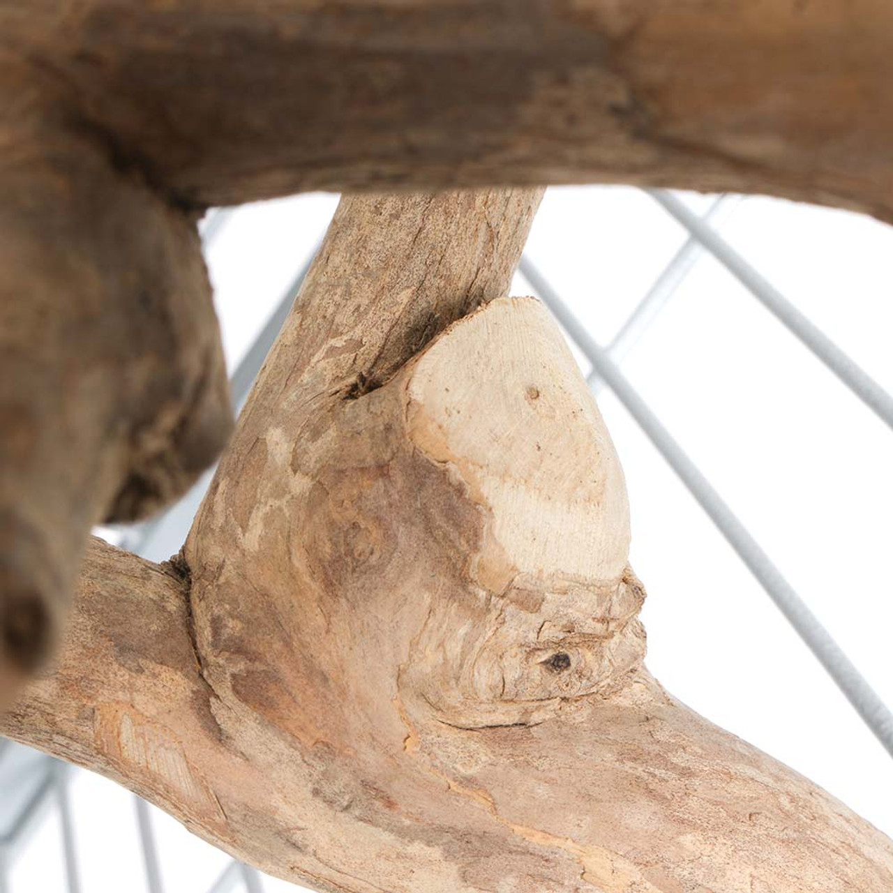 Extra Small Java Multibranch Natural Parrot Perch - Northern Parrots