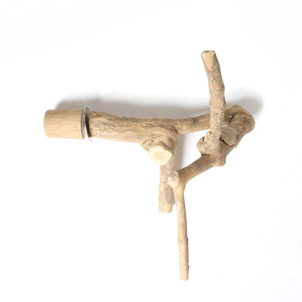 Extra Small Java Multibranch Natural Parrot Perch - Northern Parrots