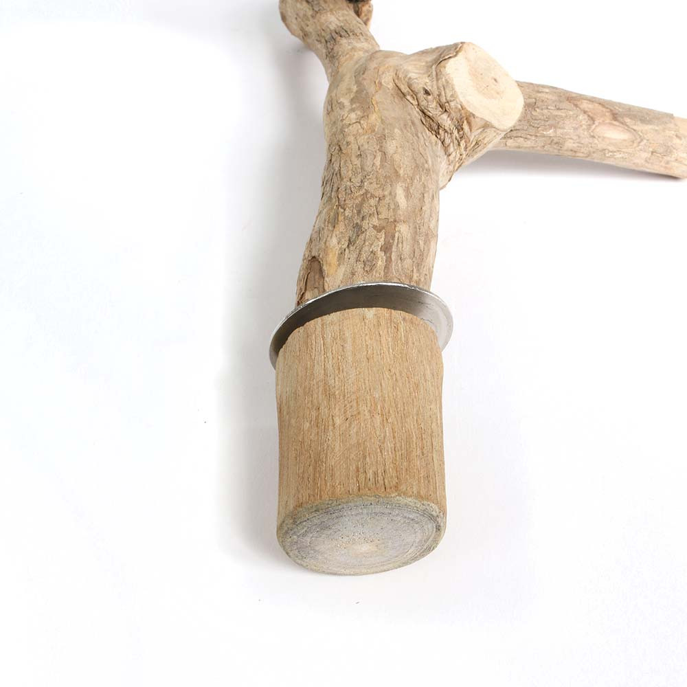 Extra Small Java Multibranch Natural Parrot Perch - Northern Parrots