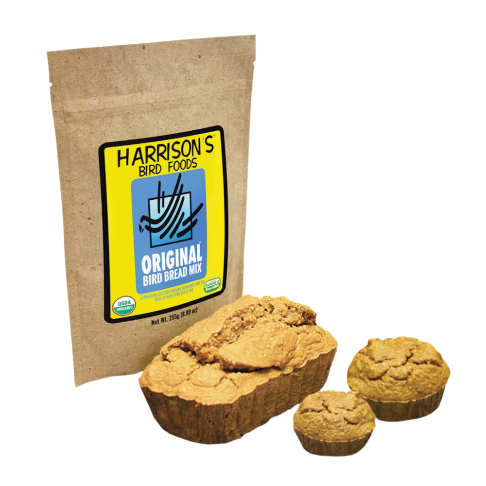 Harrison's Bird Bread Mix | Organic Parrot Treat
