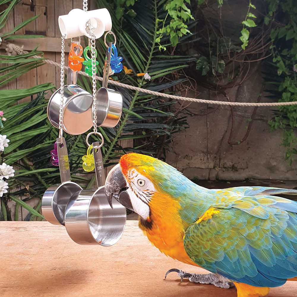 Pan Clacker Parrot Toy - Northern Parrots