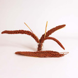 French Red Millet Sprays | Parrot Treat 150g