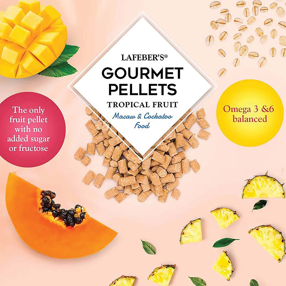 Lafeber Gourmet Pellets | Tropical Fruit | Large Parrot Case of 12
