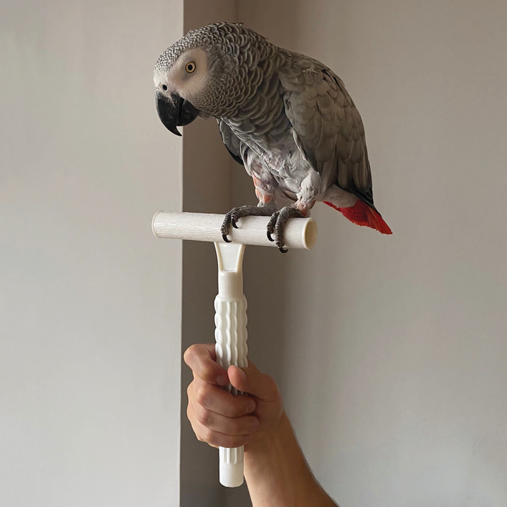 The Percher | Portable Parrot Training Perch