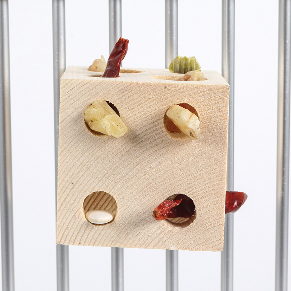 Small Holey Forager Chewable Foraging Parrot Toy - Northern Parrots