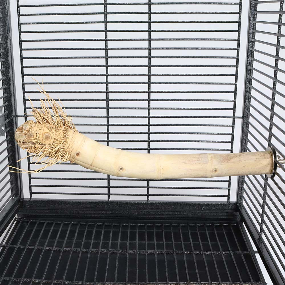 Bamboo Root Wood Natural Parrot Perch Medium - Northern Parrots
