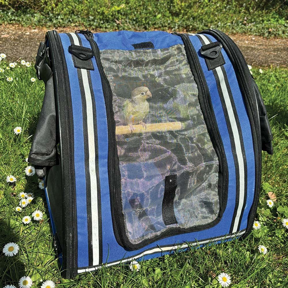 Parrot Carriers And Travel Cages | Move Your Parrot Safely
