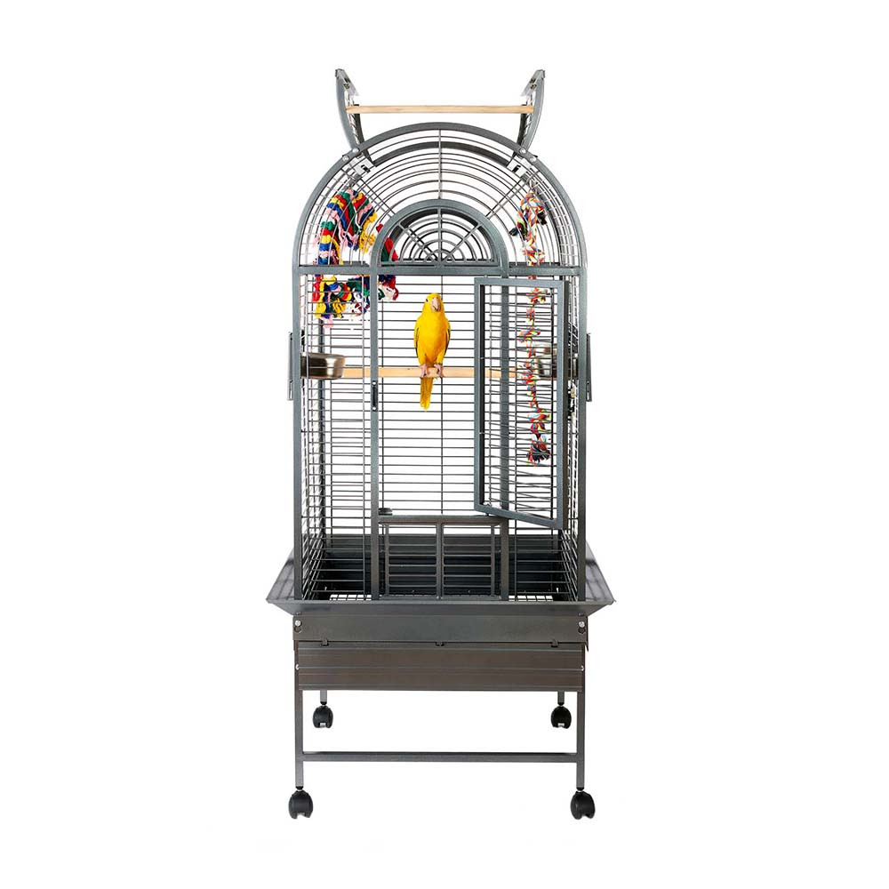 Medium Parrot Cages | Quality Cages For Medium Sized Birds