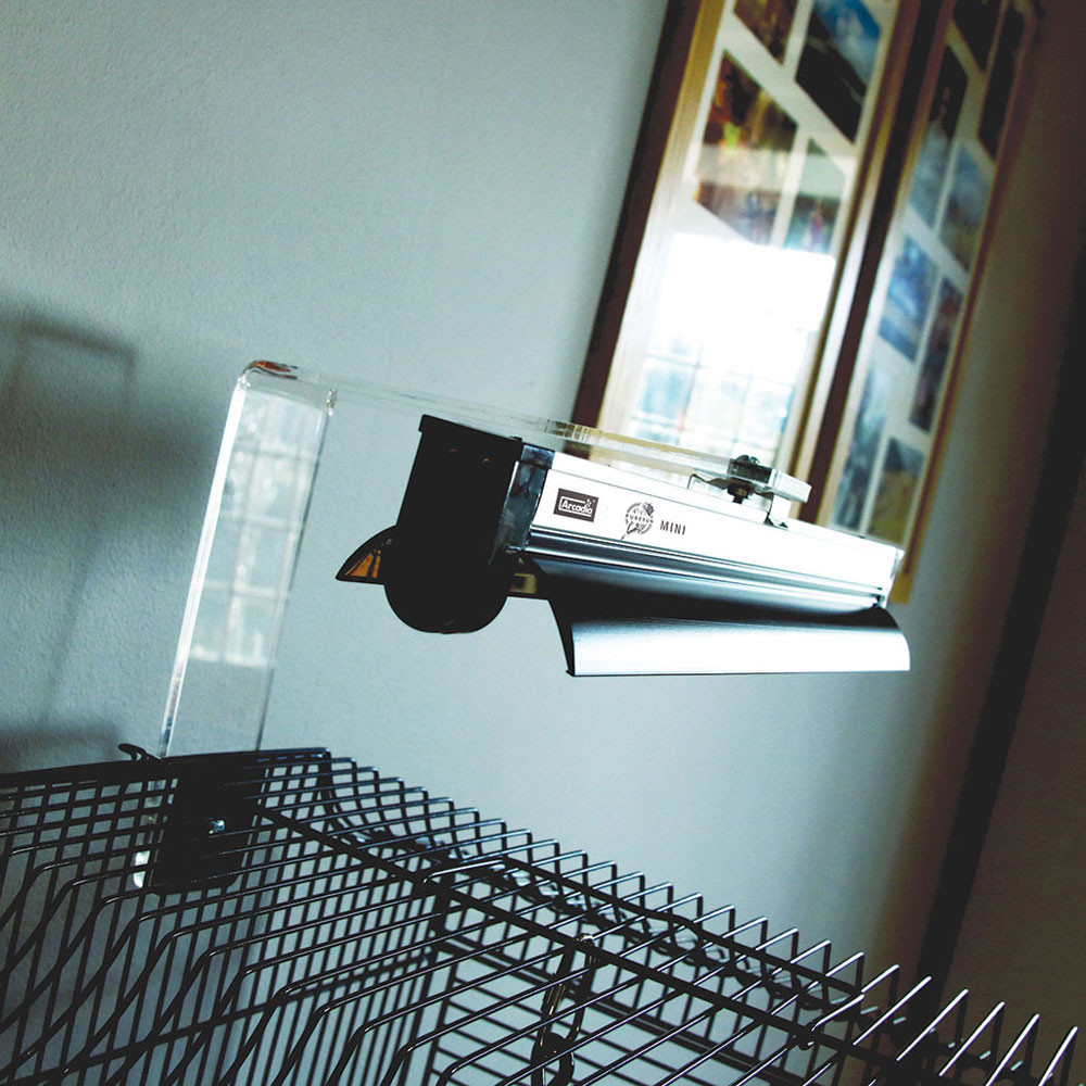 Parrot And Bird Lights | Lighting Options For Parrots