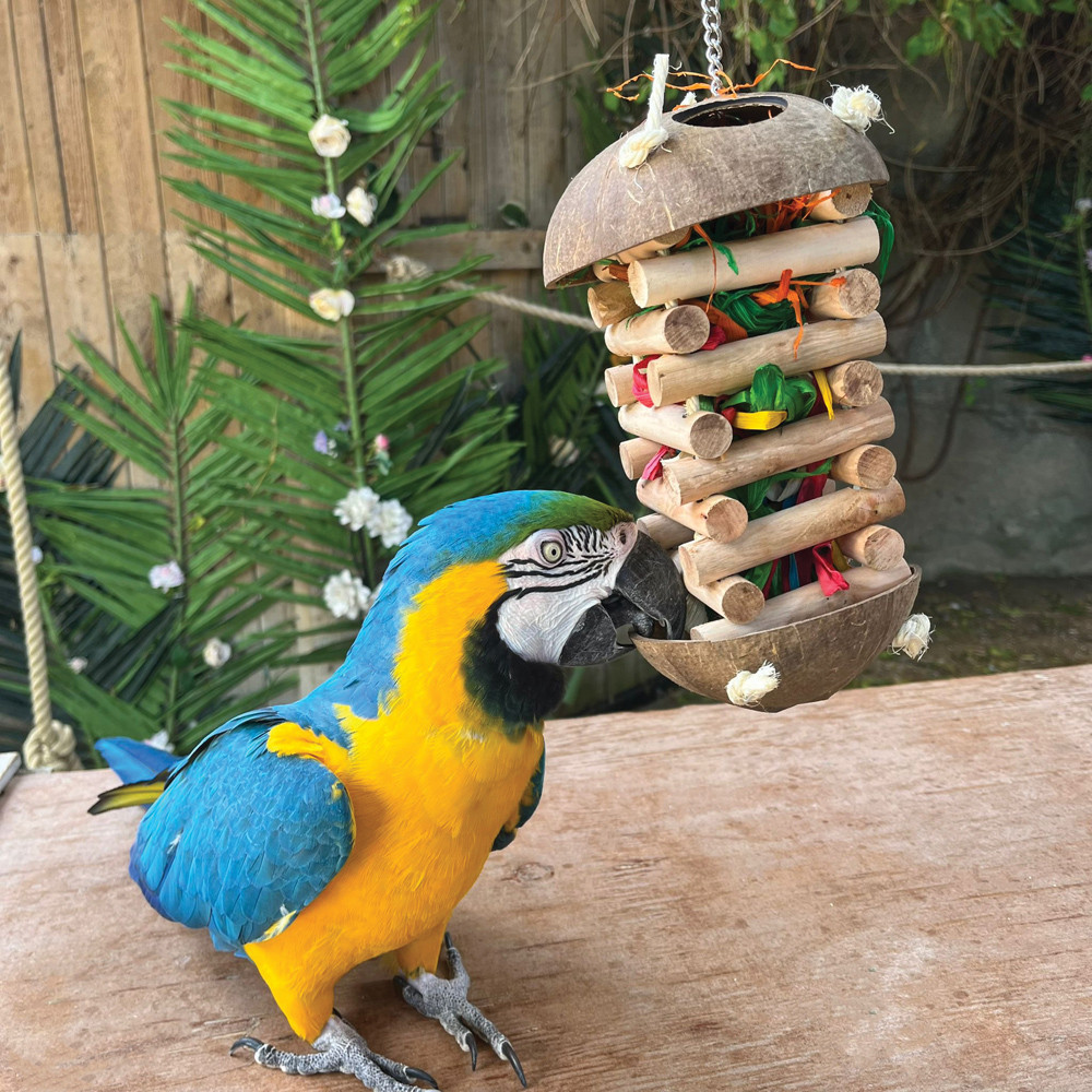 Foraging Hut Parrot Toy - Large - Northern Parrots