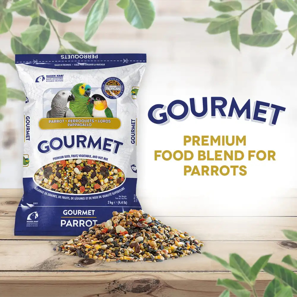 Hari Hagen Gourmet Premium Seed Mix Small Parrot Food 2kg - Northern ...