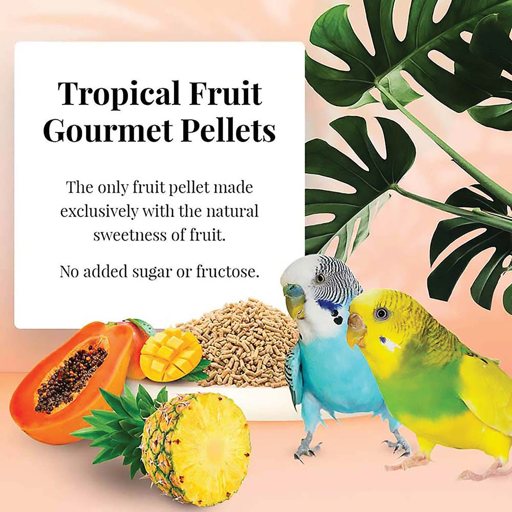Lafeber Gourmet Pellets | Tropical Fruit | Budgie Food Case of 12