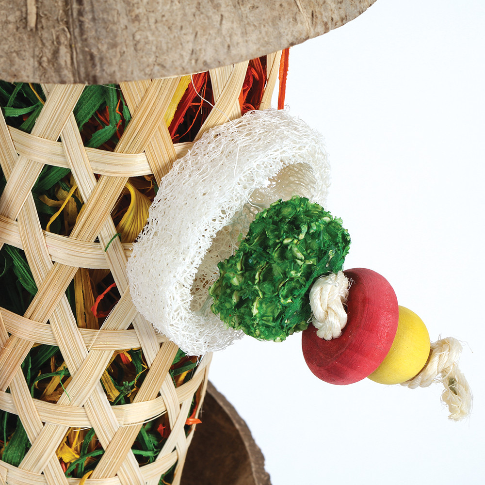 Coco Foraging Basket Surprise Natural Foraging Parrot Toy - Northern ...