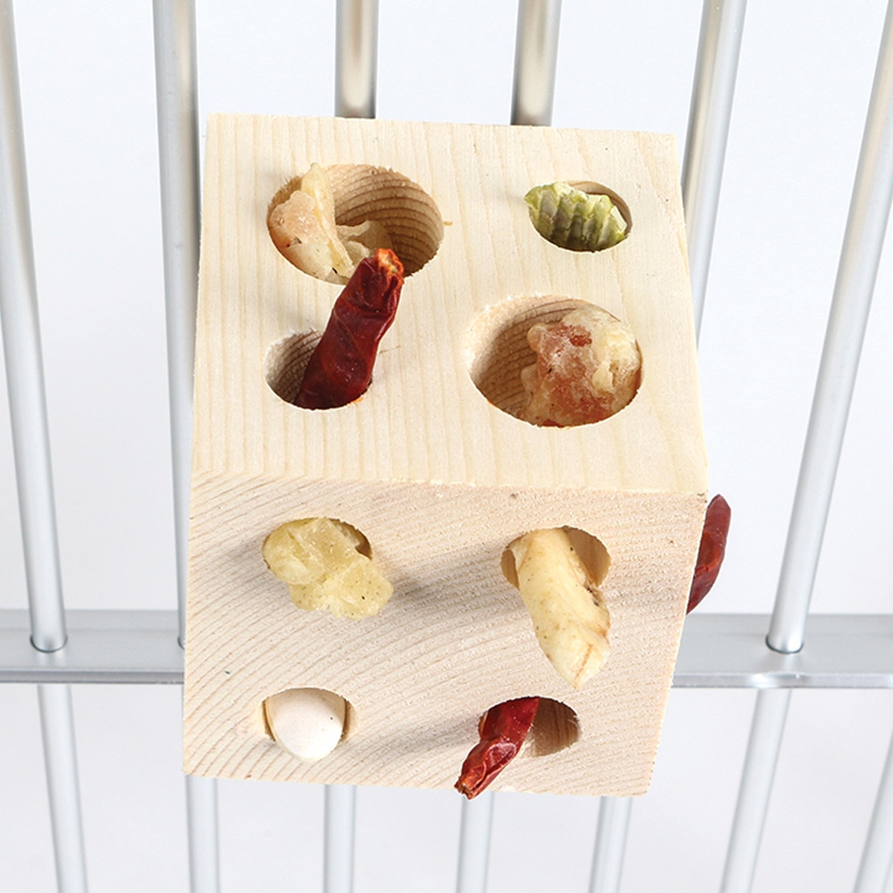 Small Holey Forager Chewable Foraging Parrot Toy - Northern Parrots