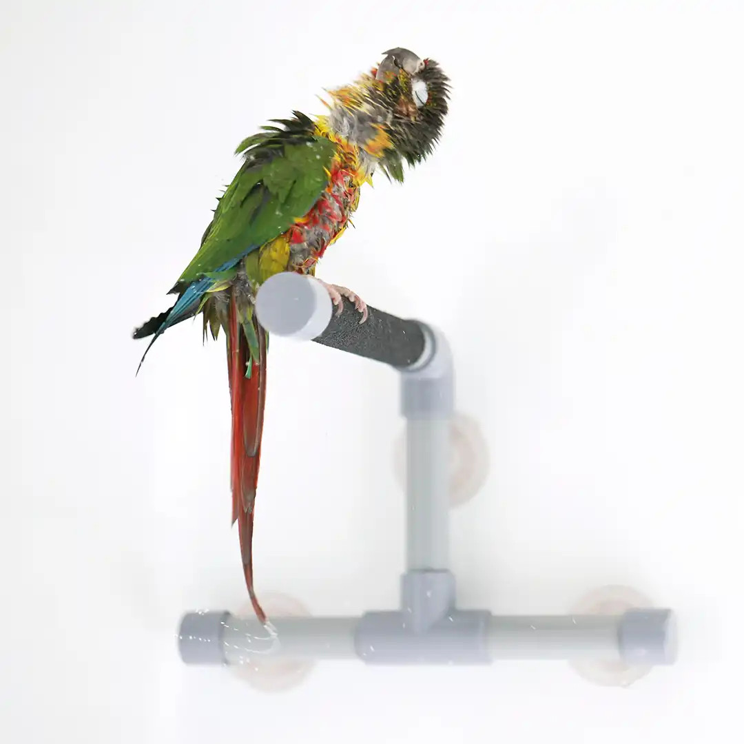 Shower and Window Sanded Parrot Perch Small - Northern Parrots