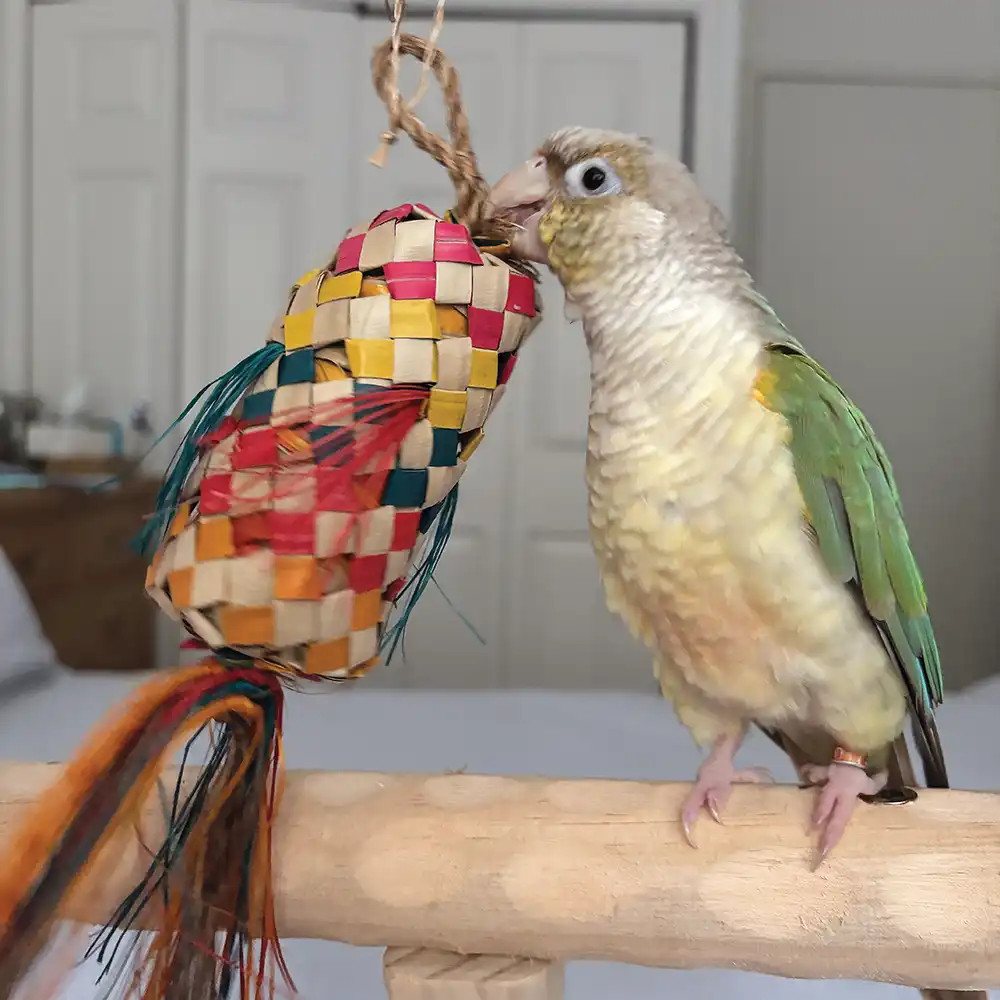 Foraging Pinata Small Natural Woven Palm Leaf Parrot Toy - Northern Parrots