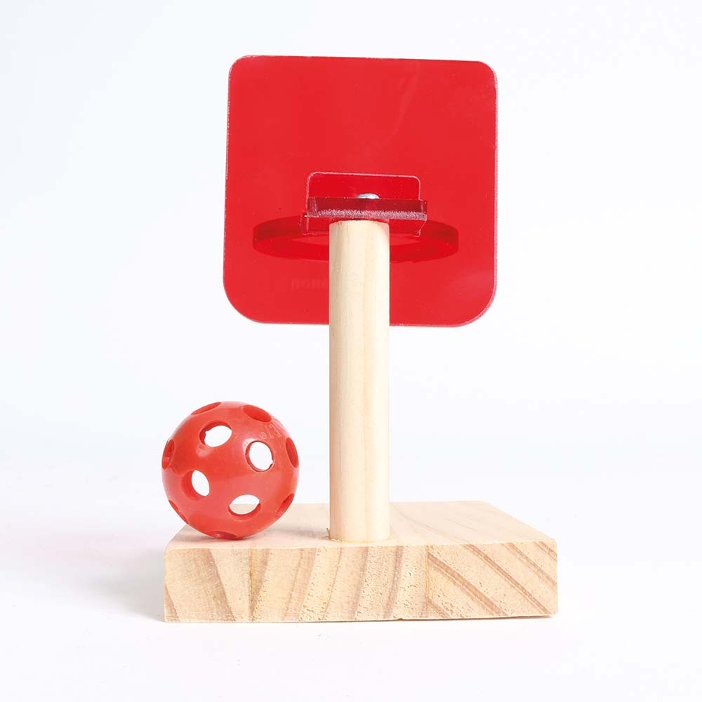 Birdie Basket Ball Hoop Activity Parrot Toy - Northern Parrots
