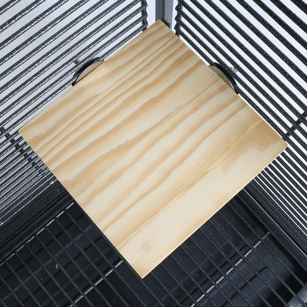 Square Corner Platform Parrot Perch Large - Northern Parrots