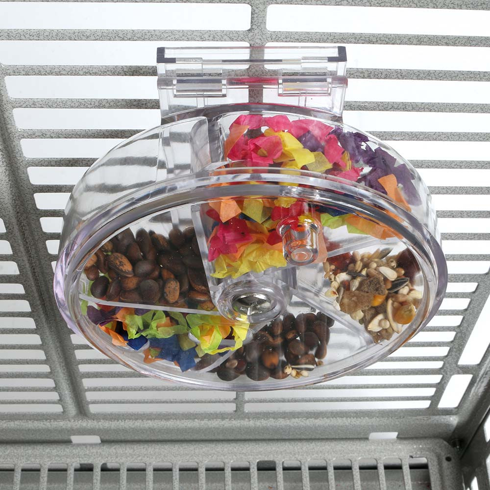 Original Foraging Wheel | Creative Parrot Toy