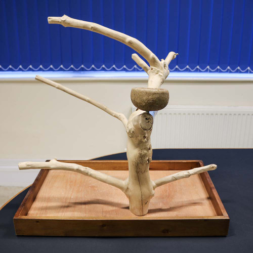 Clearance Cages | Open, Play And Solid Top Cages