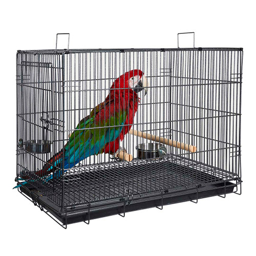 Parrot Carriers And Travel Cages | Move Your Parrot Safely