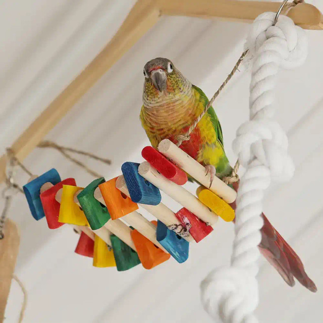 Acrobat Ladder Activity Parrot Toy Small - Northern Parrots