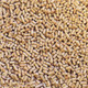 Lafeber Tropical Fruit Gourmet Pellets | Parrot Food