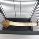 Bamboo Root Wood Natural Parrot Perch Medium - Northern Parrots