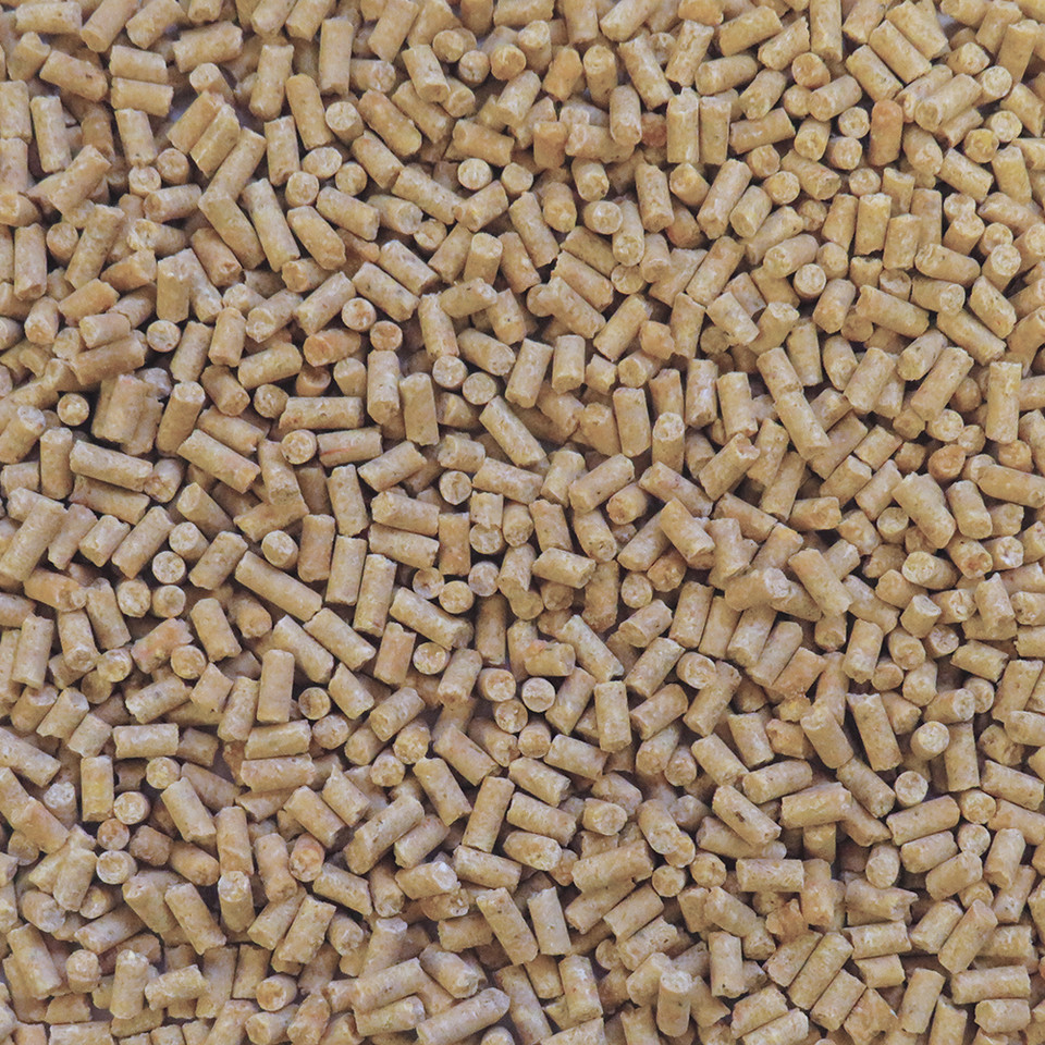 Lafeber Gourmet Pellets | Tropical Fruit Parrot Food
