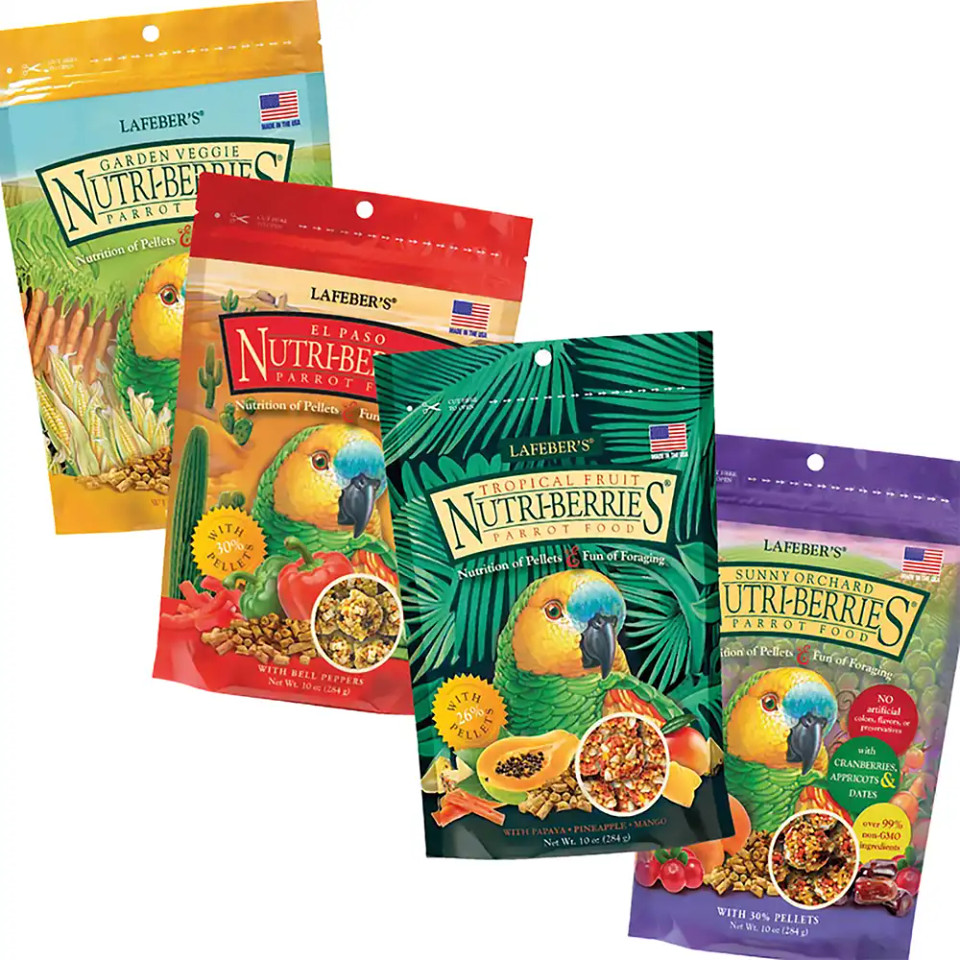 Parrot Food | Free UK Delivery | Northern Parrots