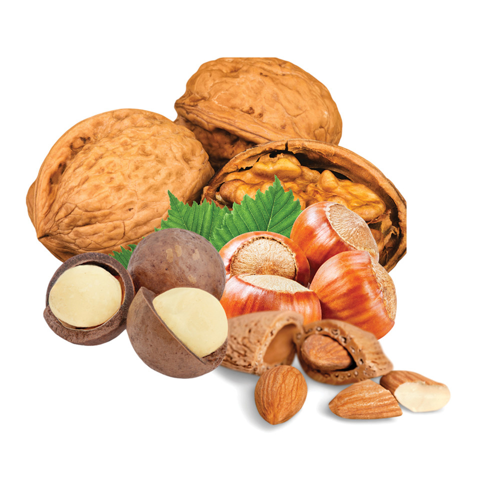 Your Parrot Wild Nuts in Shells Parrot Treat 1kg - Northern Parrots