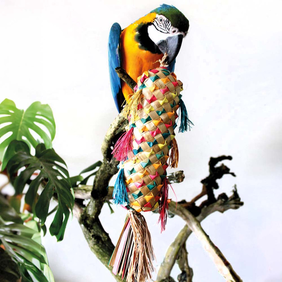 Coloured Pinata Spiked Palm Leaf Shredding Parrot Toy Large - Northern ...