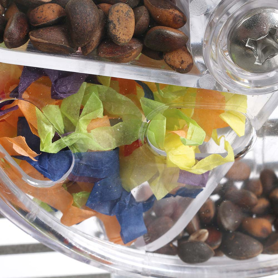 Original Foraging Wheel | Creative Parrot Toy