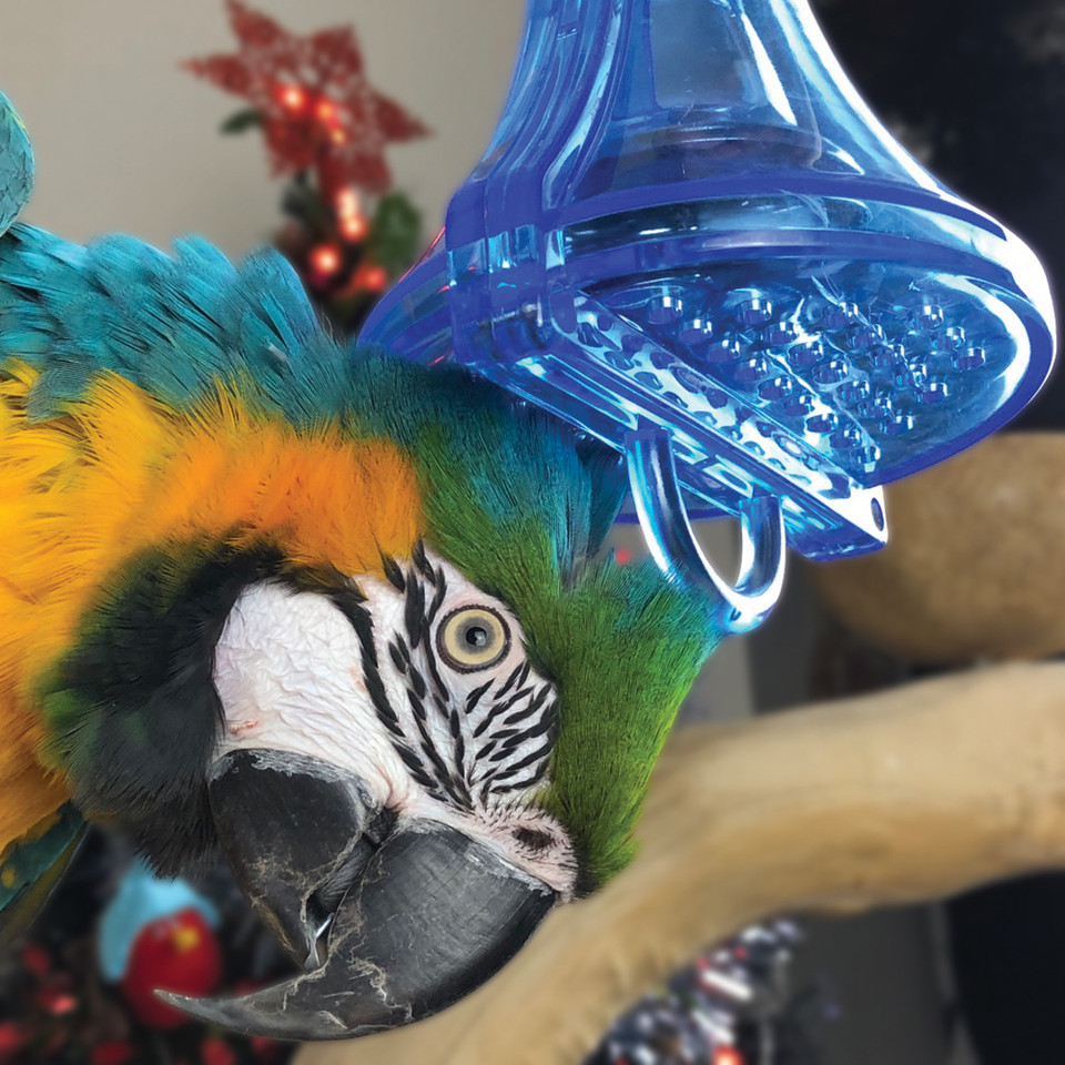 Double Ringer Parrot Bell - Large - Northern Parrots