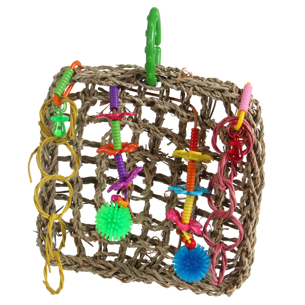 Bourkes Parakeet Fact Sheet - Northern Parrots