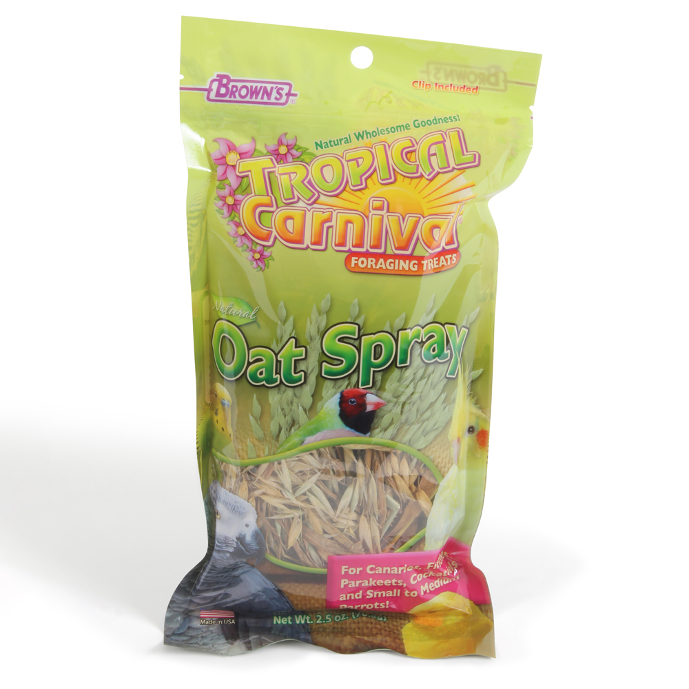 African Grey Parrot Food | Complete Food, Seed And Treats
