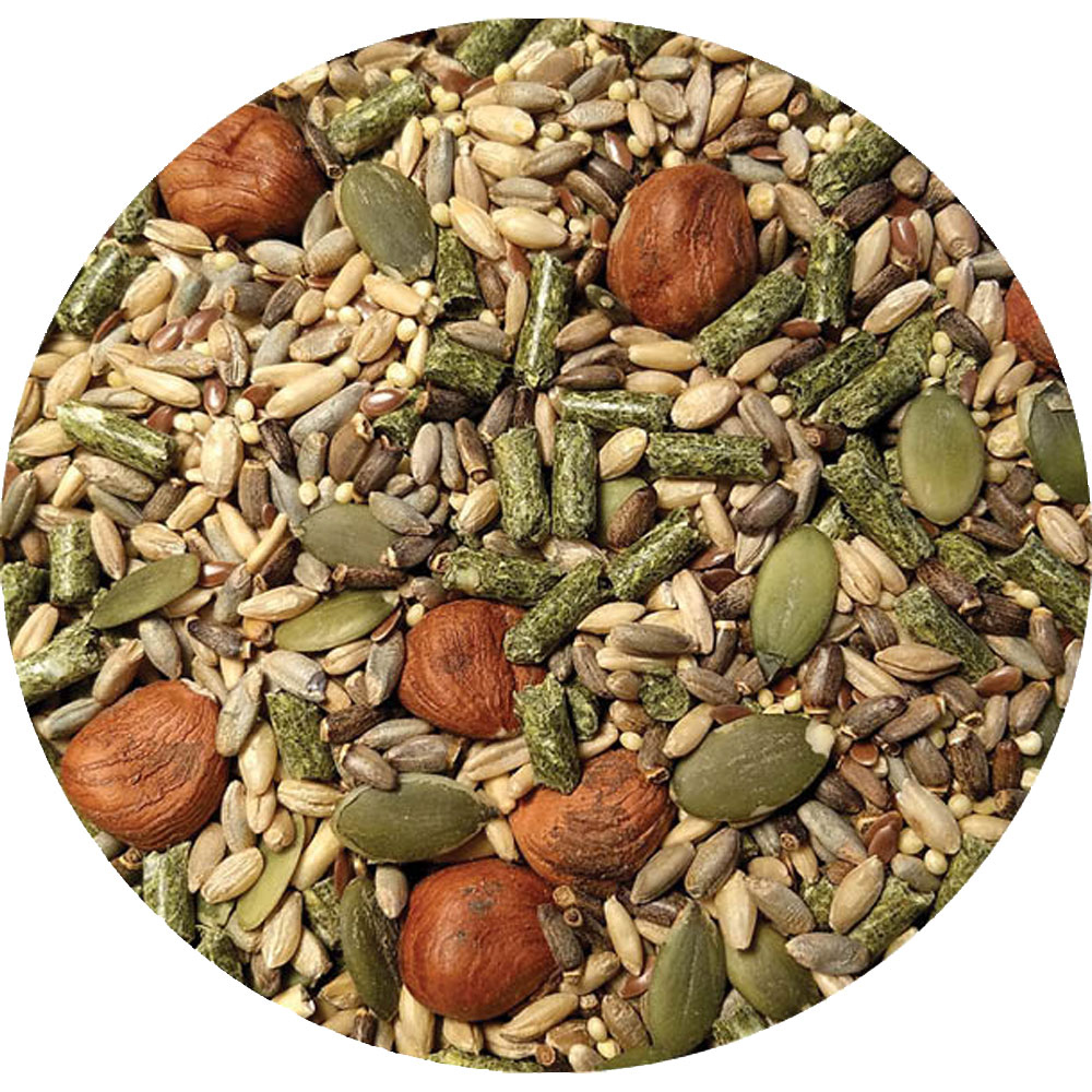 TOP's Parrot Food | Nutritious & Organic Options