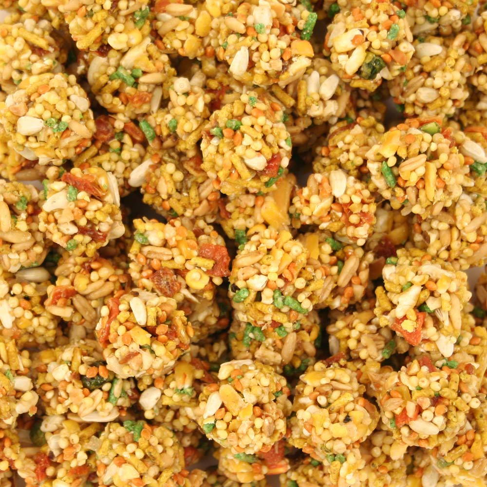 Lafeber NutriBerries Food | Northern Parrots