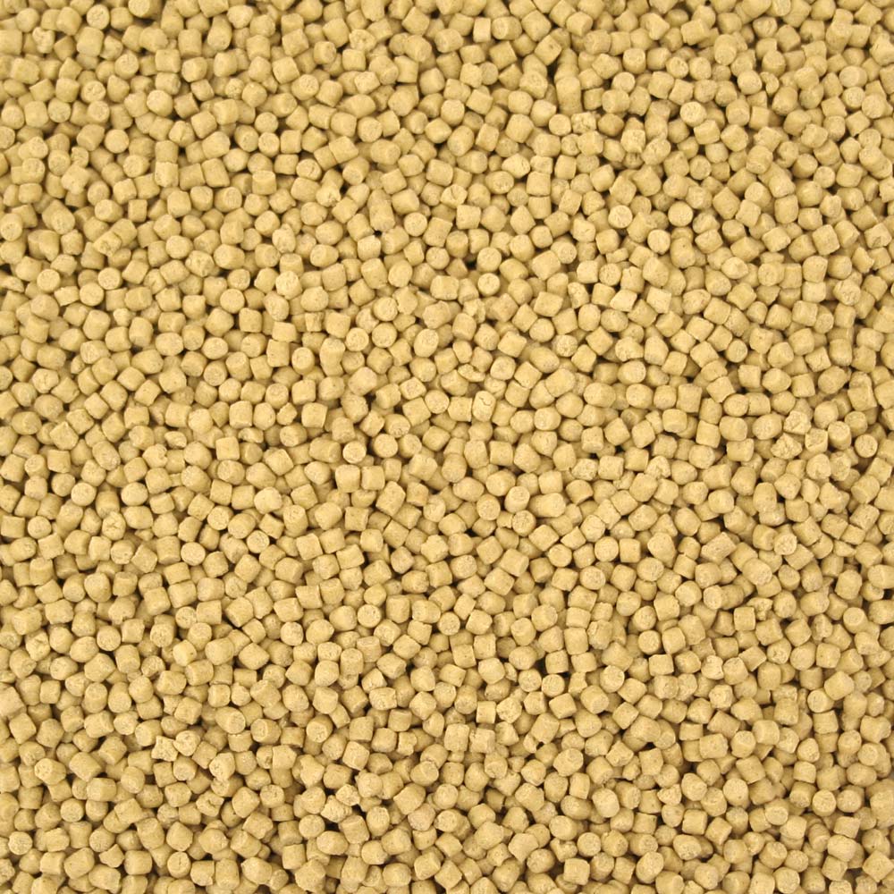 Harrisons Parrot Food | Organic Premium Bird Food