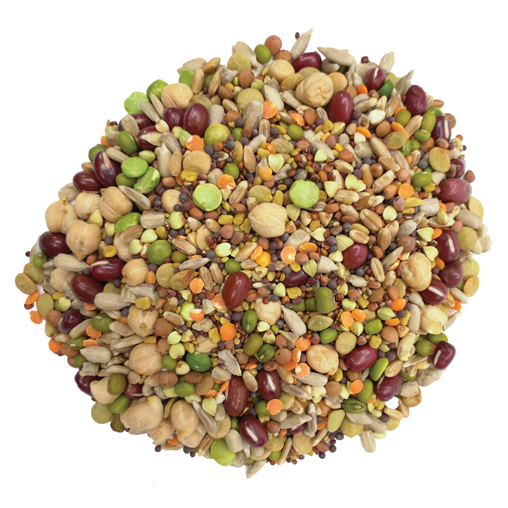 Mikey & Mia Parrot Food | Parrot Pellets & Treats