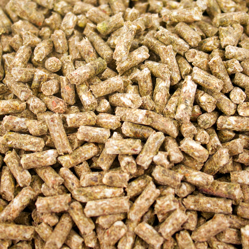 TOP's Parrot Food | Nutritious & Organic Options
