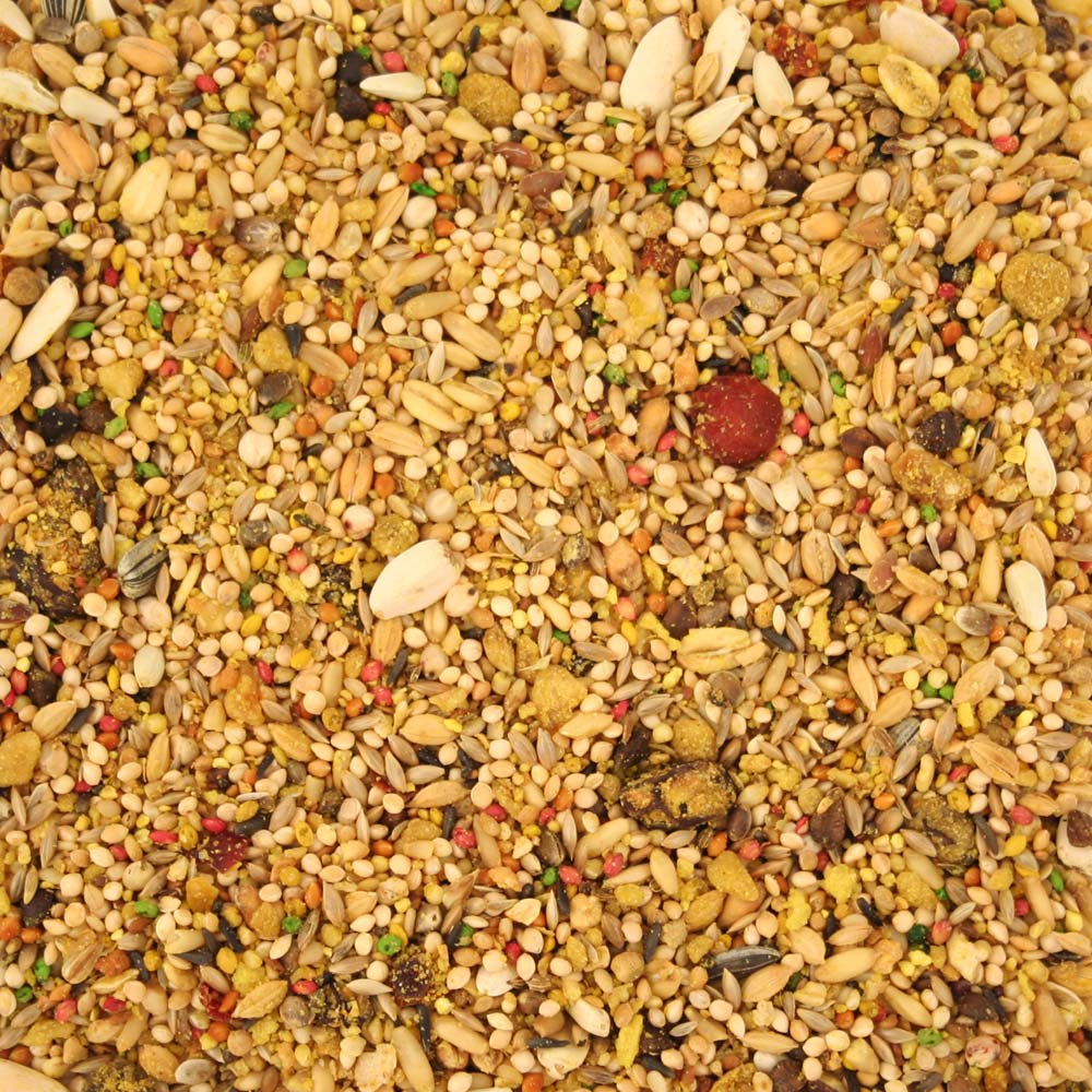 Parrot Food Special Offers | Northern Parrots