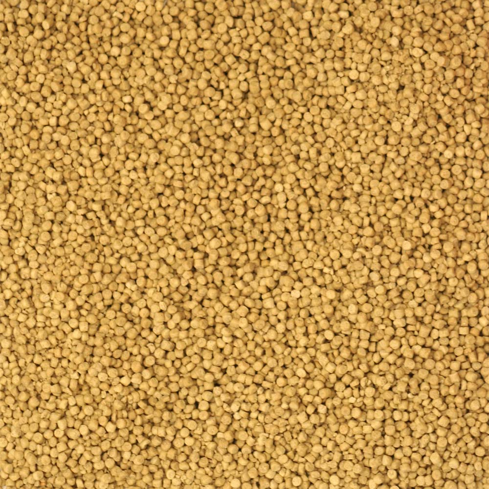 Harrison's Parrot Food | Healthy Treats And Food For Parrots